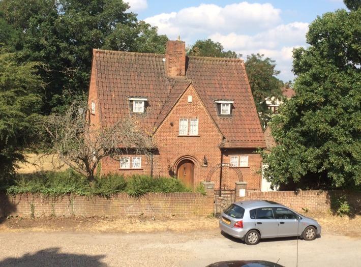 Trees, Coniston Road